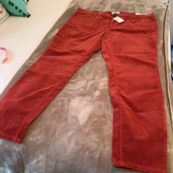 LOFT | Pants & Jumpsuits | Nwt Loft Red Velvet Pants | Poshmark